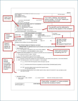 Case Management Statement and Case Management Conferences - Sacramento ...