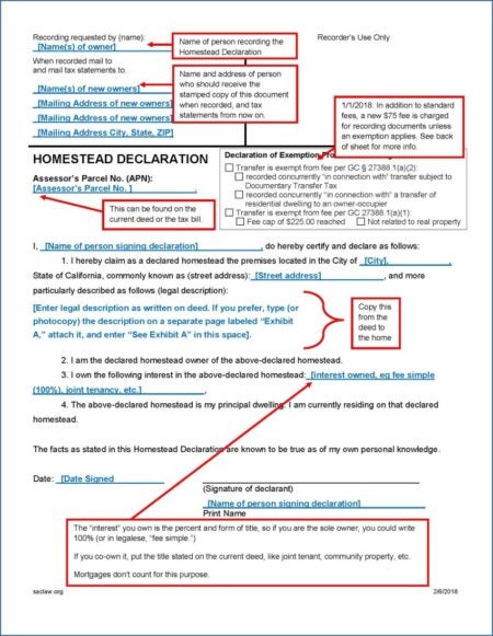 Homestead Declaration: Protecting the Equity in Your Home - Step by ...